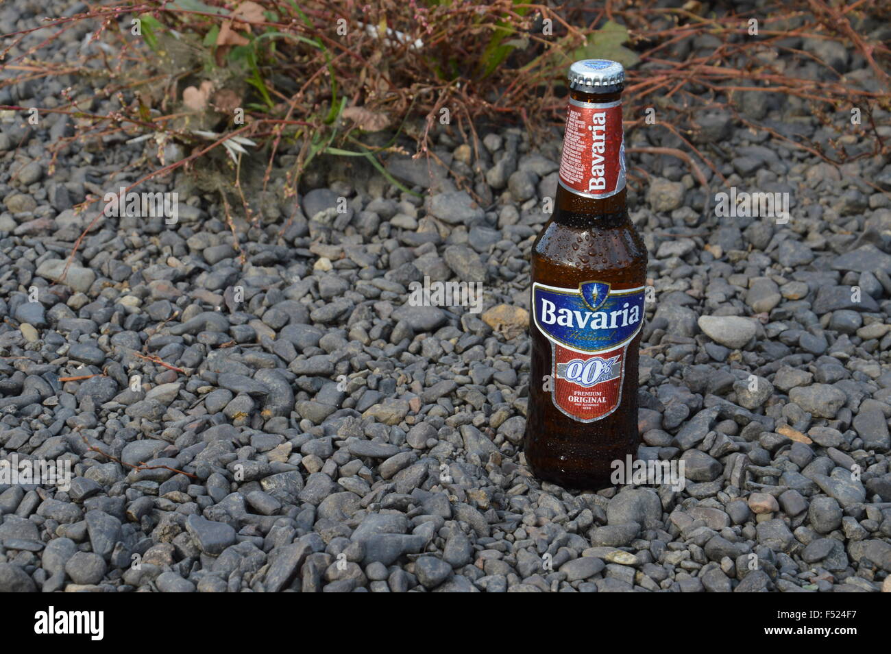 illustrative bottle non alcoholic beer Bavaria in nature Stock Photo ...