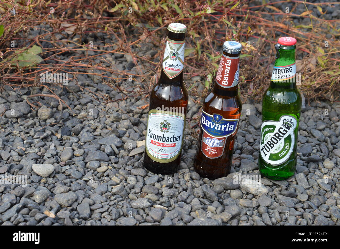 Illustrative bottle alcoholic beer and non alcoholic beer in nature ...