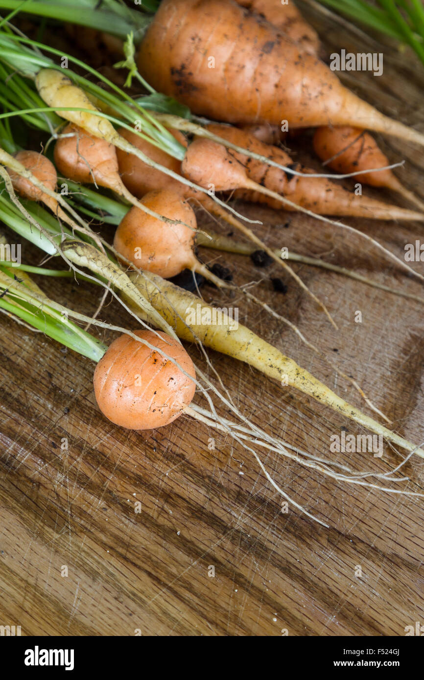 Carrots shapes hi-res stock photography and images - Alamy