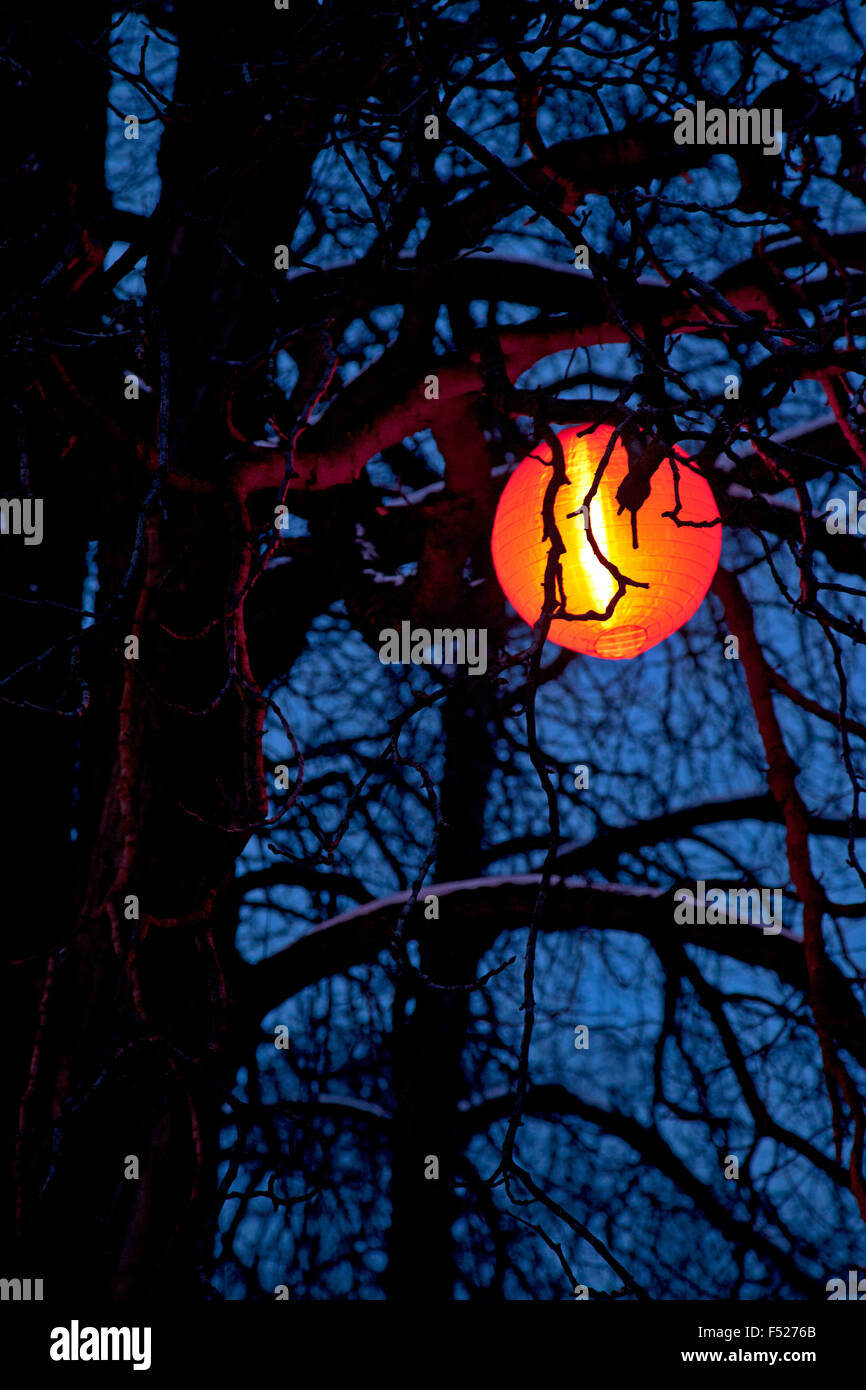 Tree, lantern, paper lantern, outside Stock Photo - Alamy