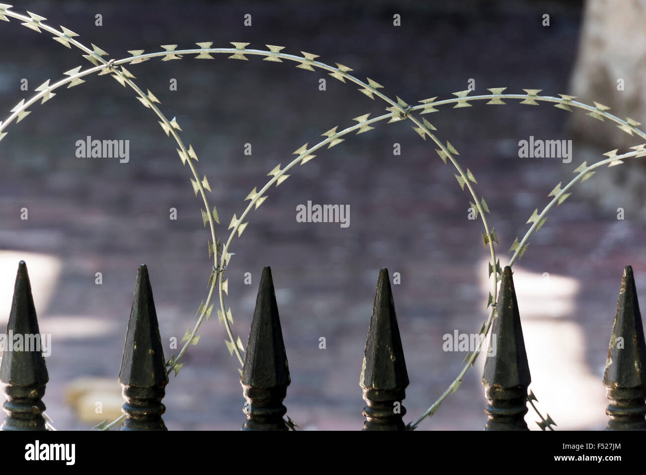 Barrier, fence, barbed wire Stock Photo - Alamy