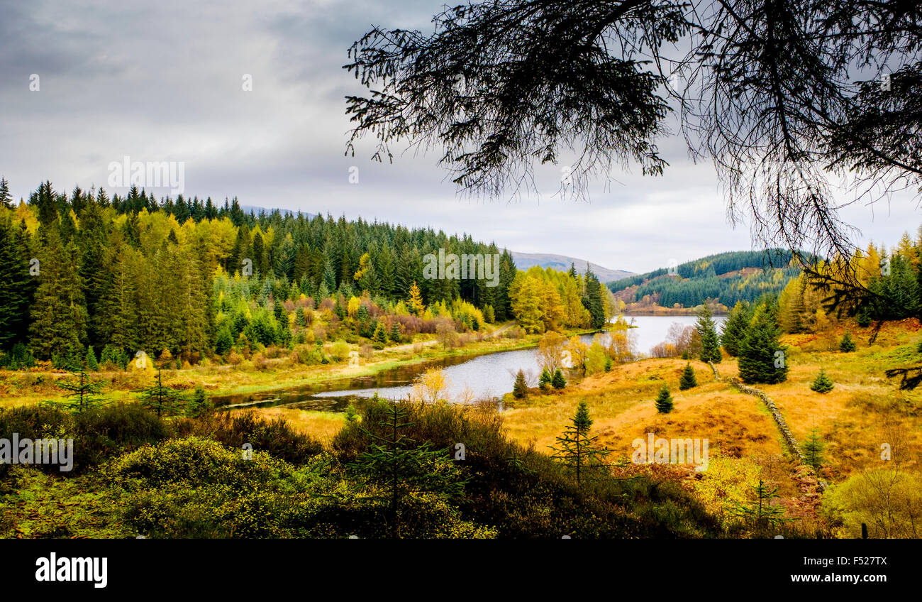 Autumn colours at Loch Drunkie in the Loch Lomond and Trossachs ...