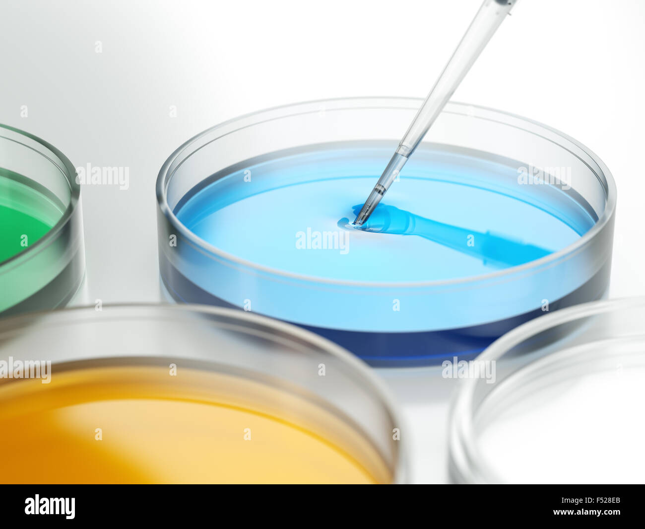 Laboratory test with Petri dish Stock Photo - Alamy