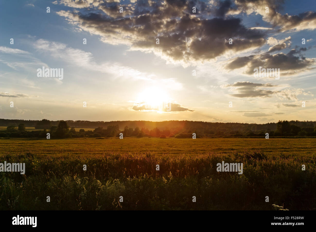 Summer landscape before sunset Stock Photo - Alamy