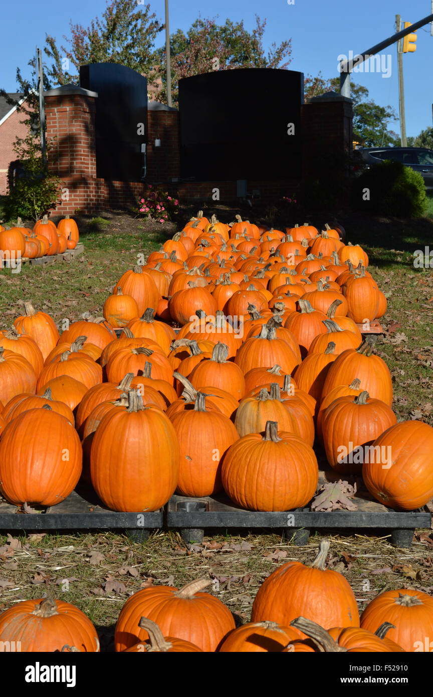 Church autumn pumpkins hi-res stock photography and images - Alamy
