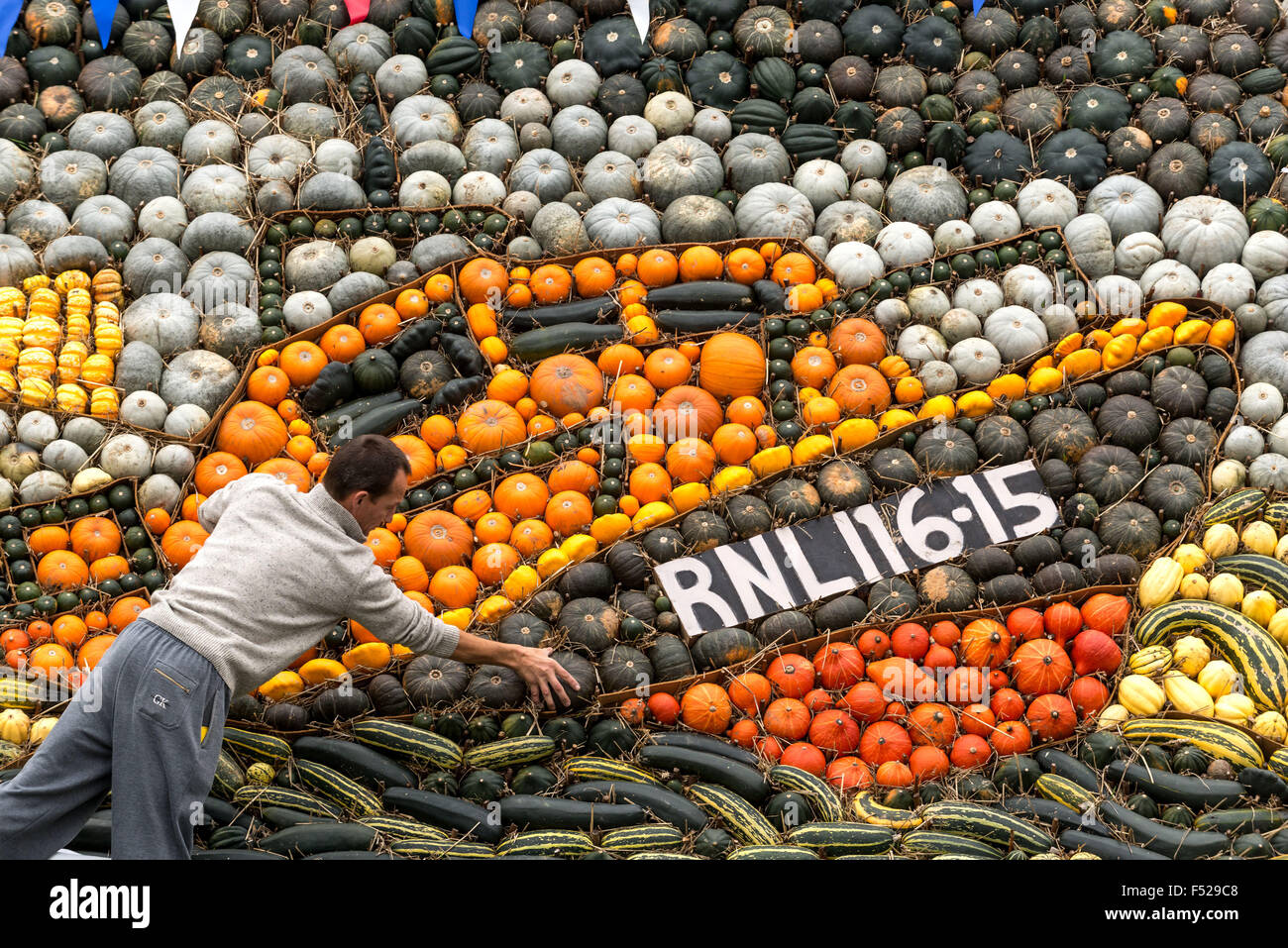 The annual autumn pumpkin display at Robin Upton's farm at Slindon ...