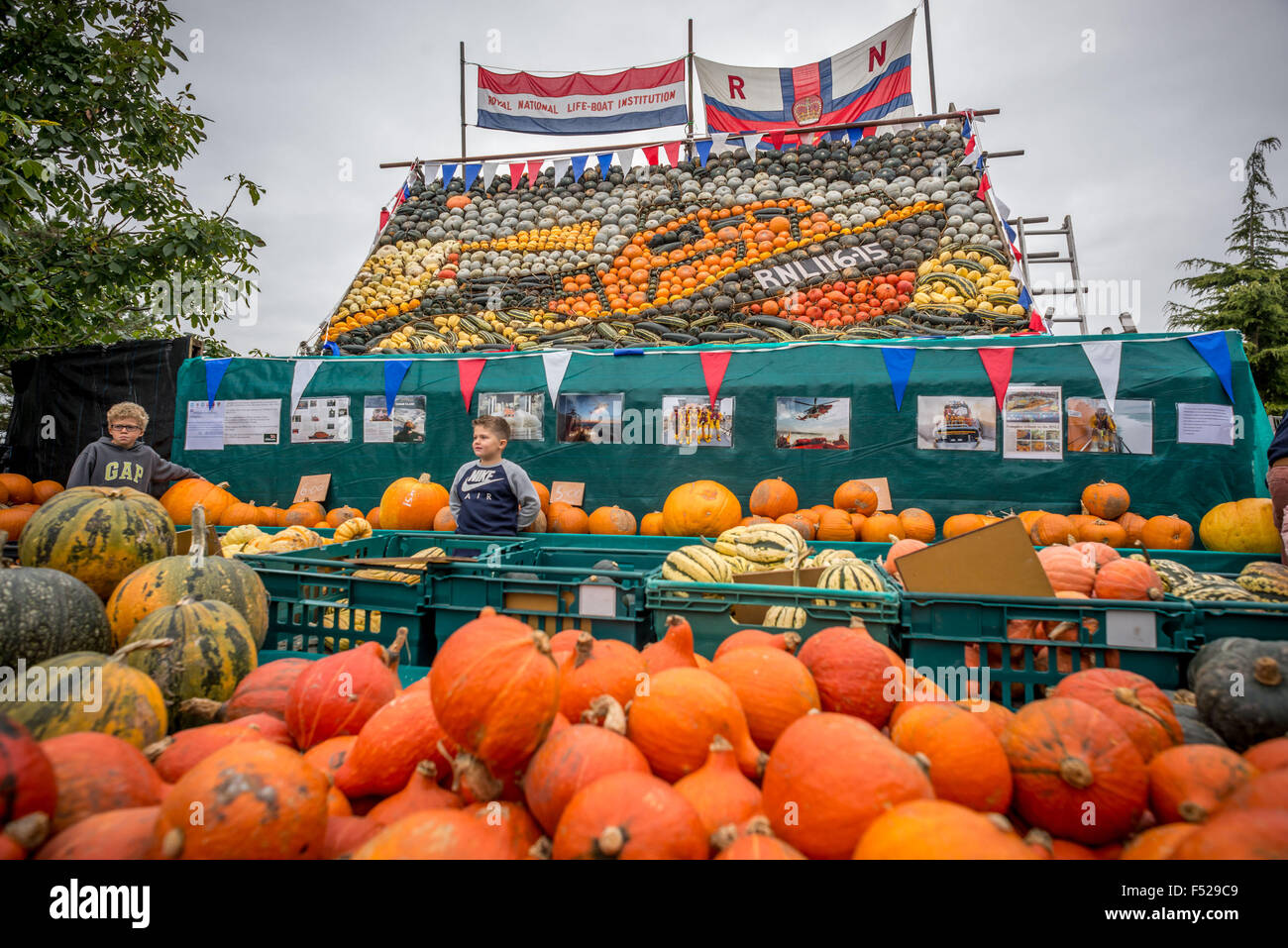 Annual autumn pumpkin display robin hi-res stock photography and images ...