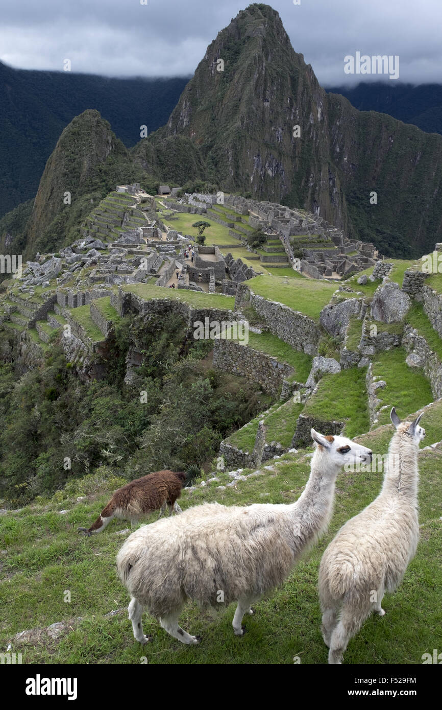 Ruins of Machu Picchu, Inca period, approximately XV century Stock ...