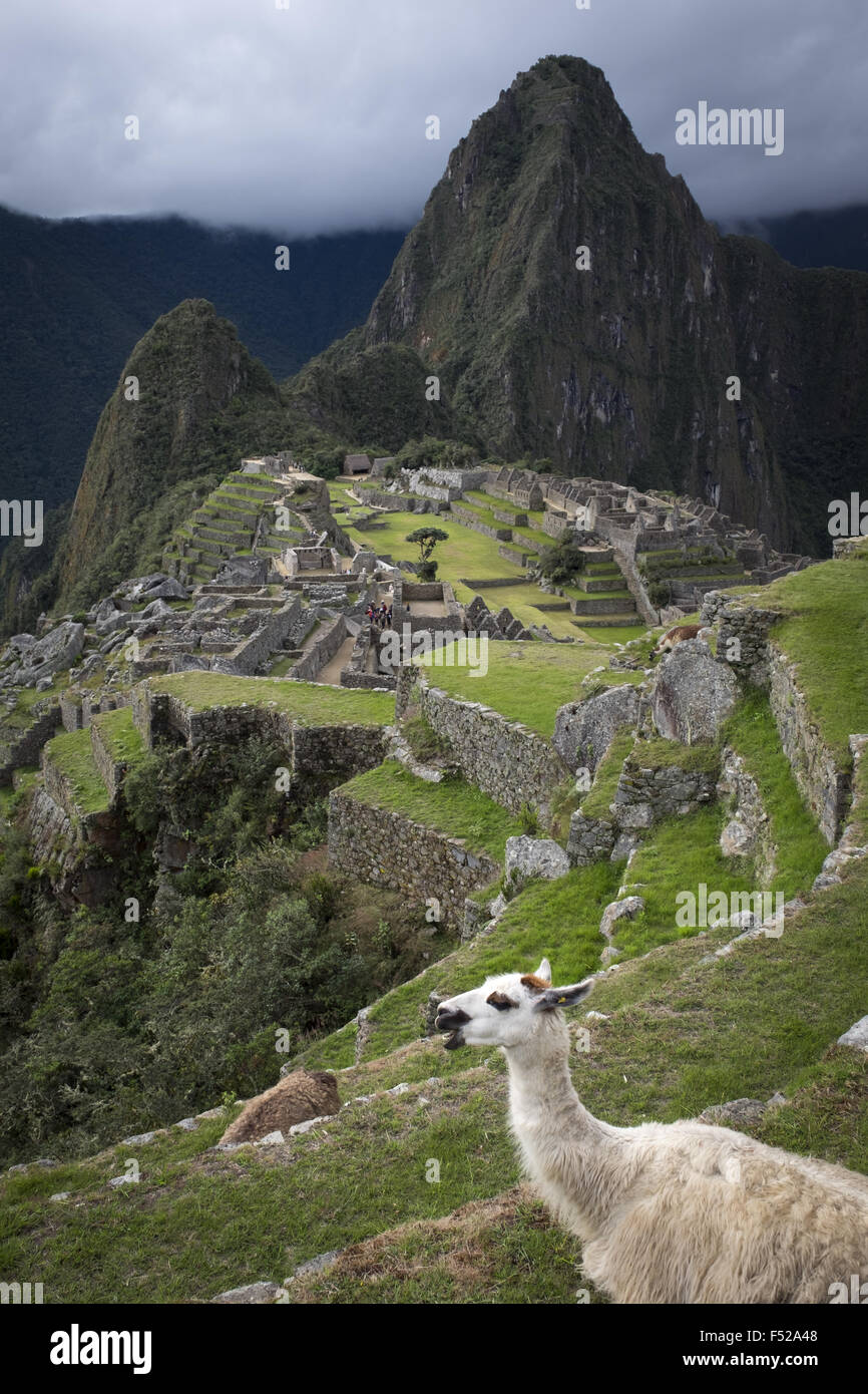 Ruins of Machu Picchu, Inca period, approximately XV century Stock ...