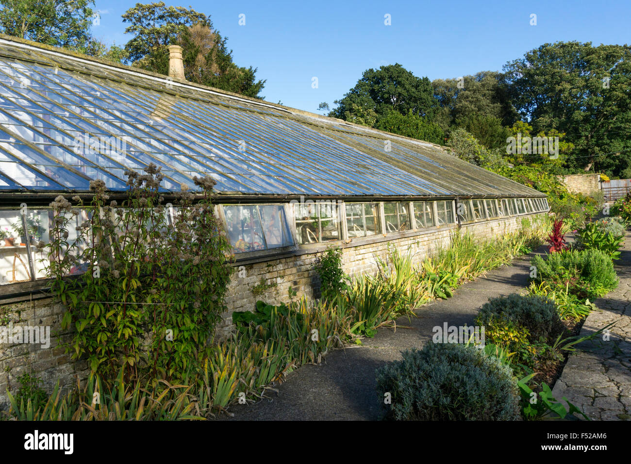 Greenhouse in the walled garden of Quex Park in Kent Stock Photo - Alamy