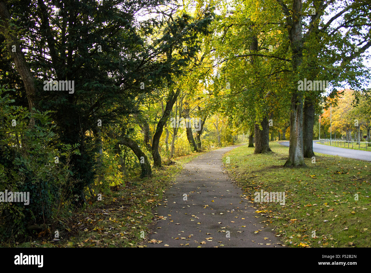 Bught Park, Inverness, Scotland, Highland, UK. Autumn Stock Photo - Alamy