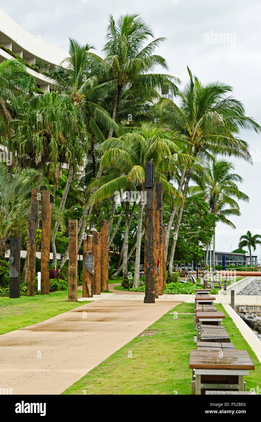 Australia, Cairns, Esplanade, palm trees Stock Photo - Alamy