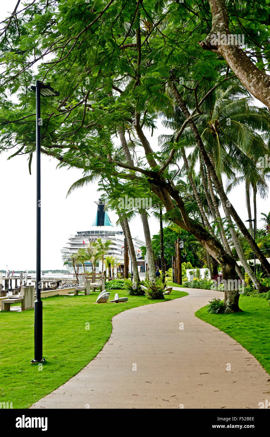 Australia, Cairns, Esplanade, palm trees Stock Photo - Alamy