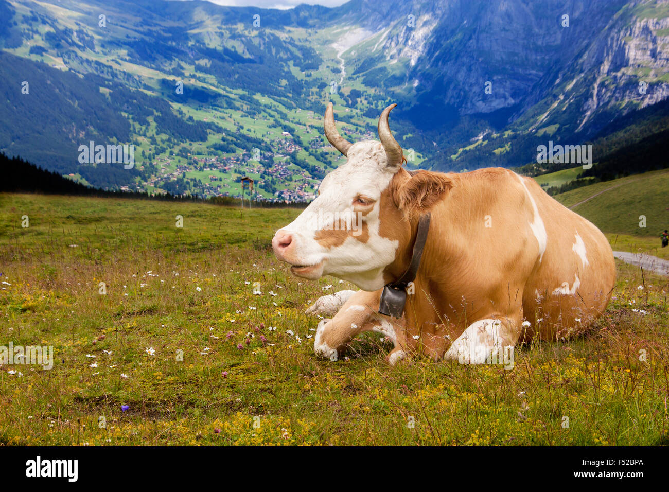 Grindelwald village hi-res stock photography and images - Alamy