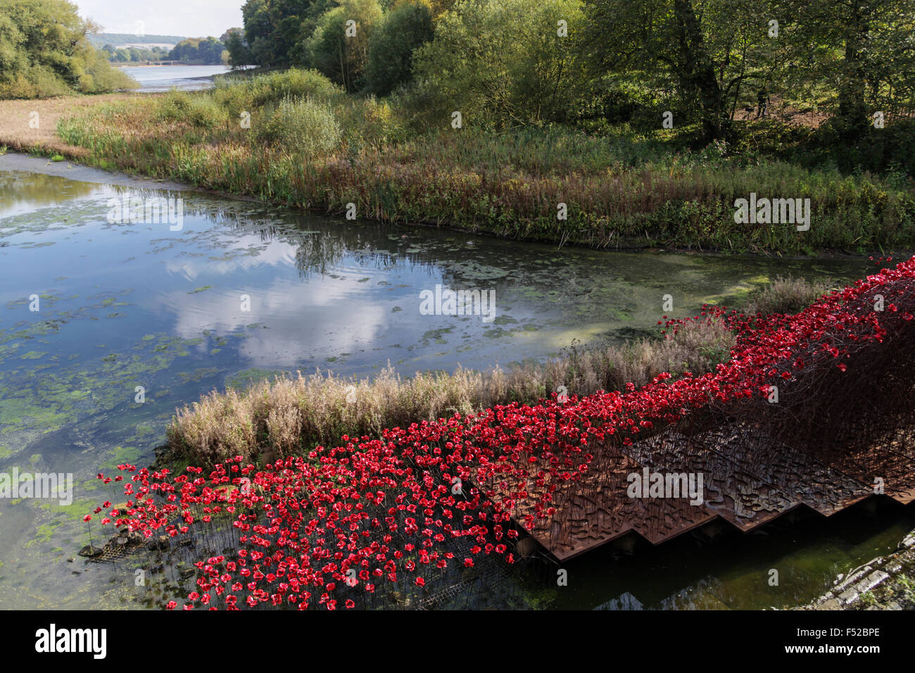 Ceramic artist paul cummins hi-res stock photography and images - Alamy