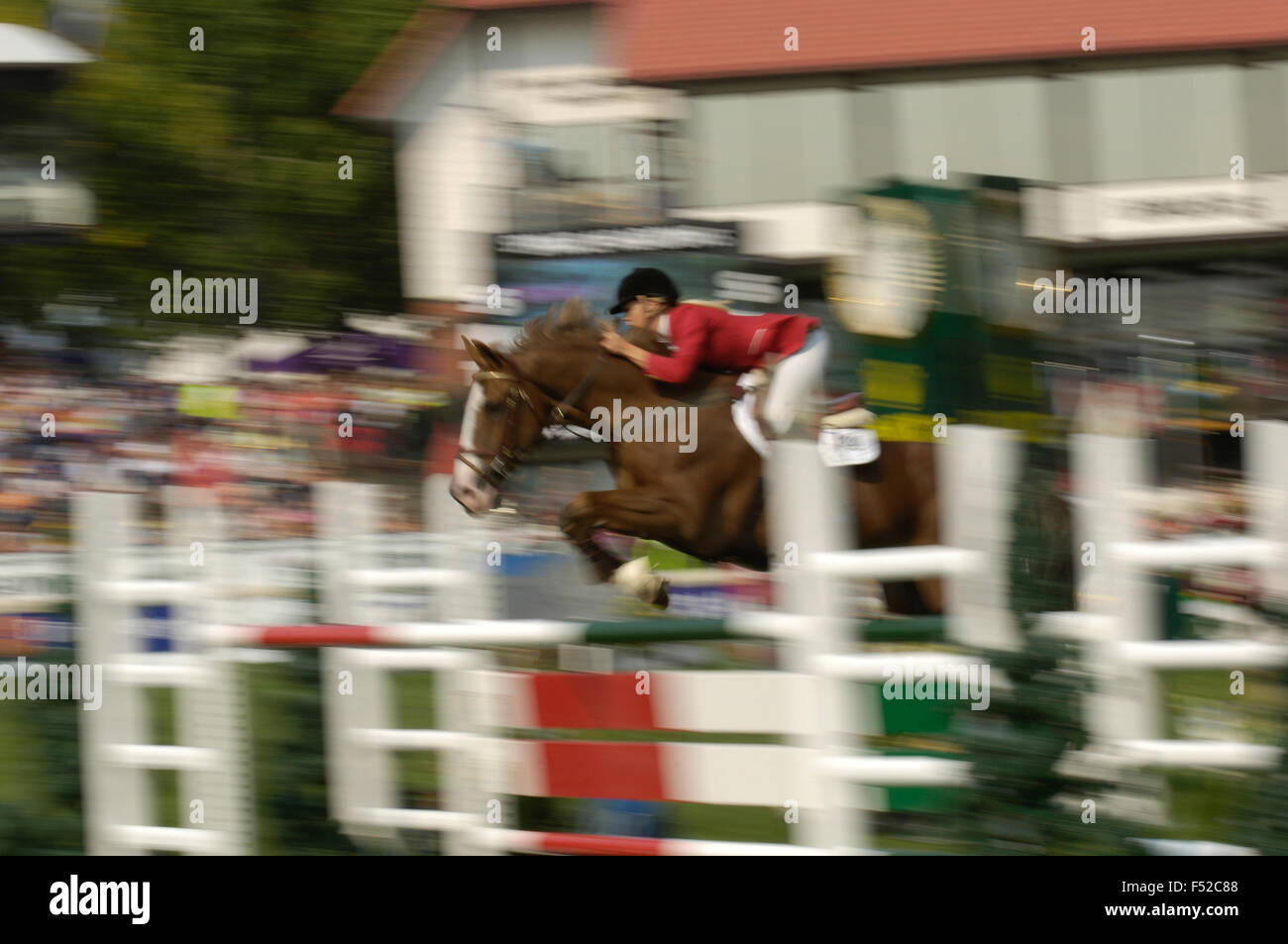 Slow motion image of a showjumper Stock Photo - Alamy