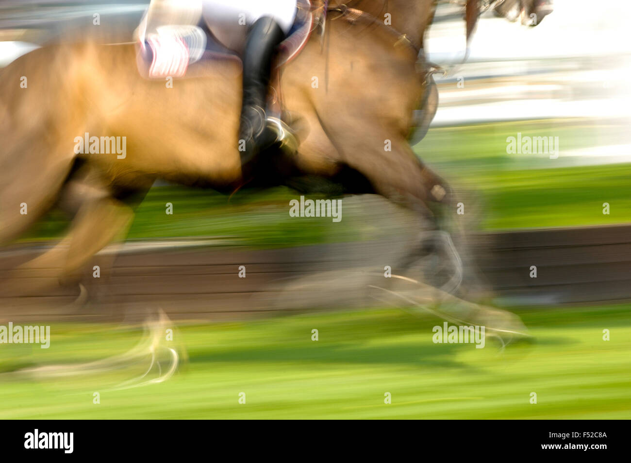 Galloping gallop hi-res stock photography and images - Alamy
