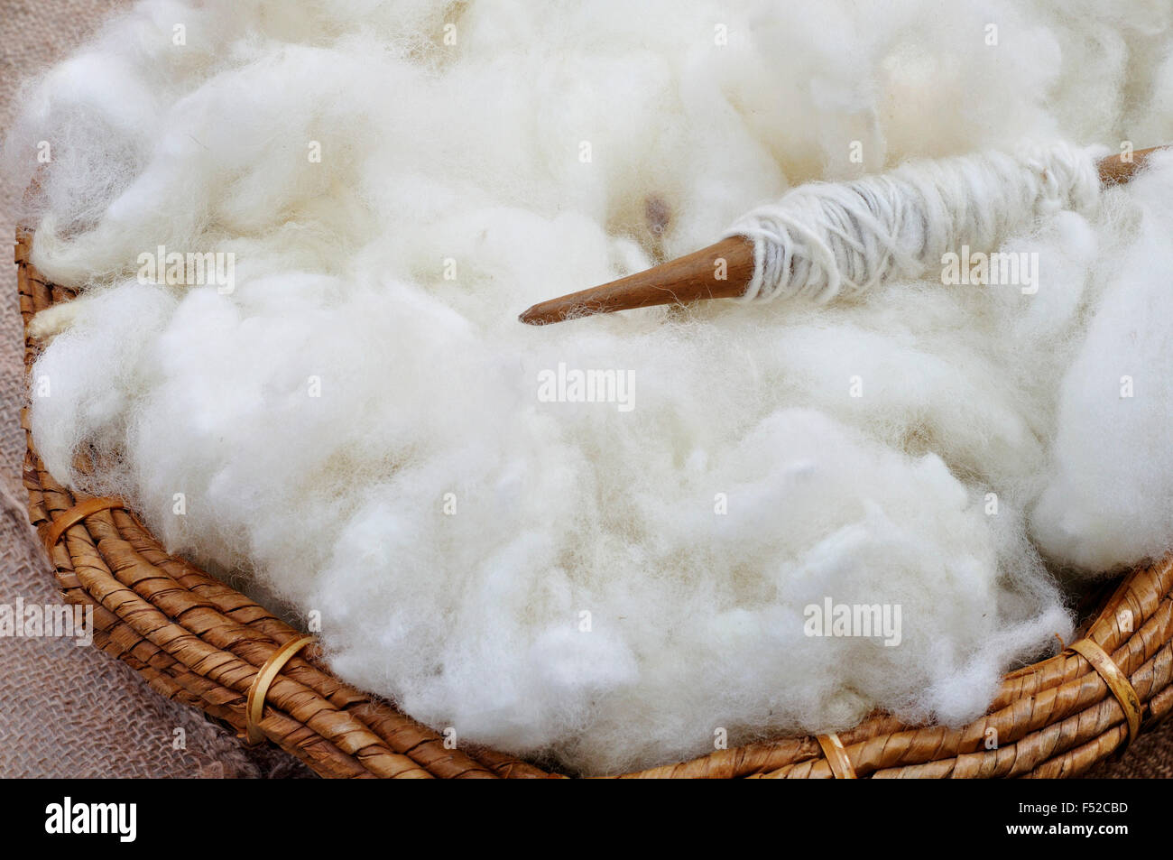 Smooth wool hi-res stock photography and images - Alamy