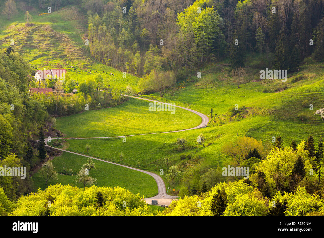 Hauenstein hi-res stock photography and images - Alamy