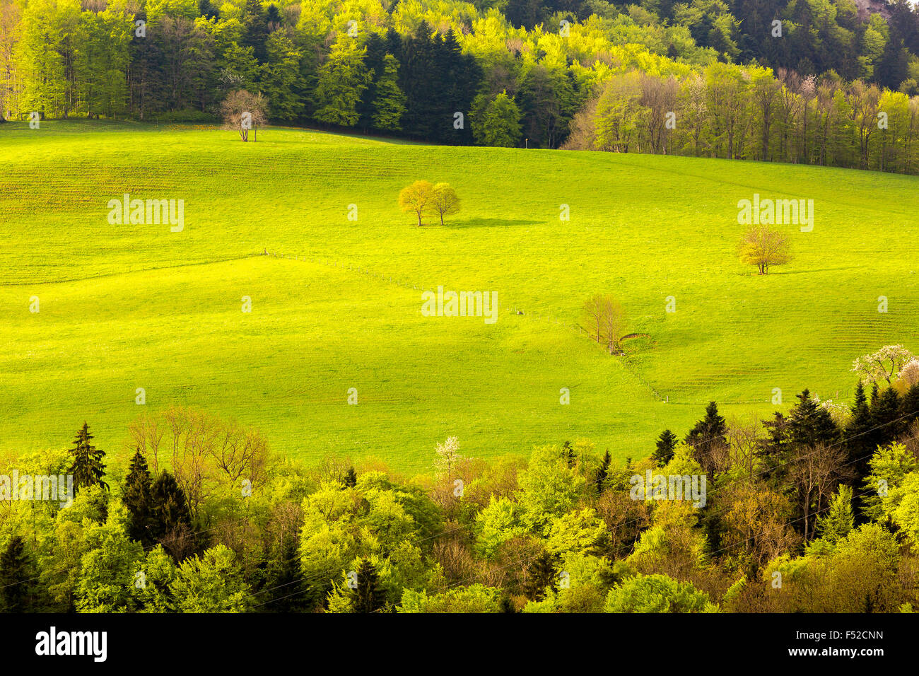 Landscape near Hauenstein, Canton Solothurn, Switzerland Stock Photo ...