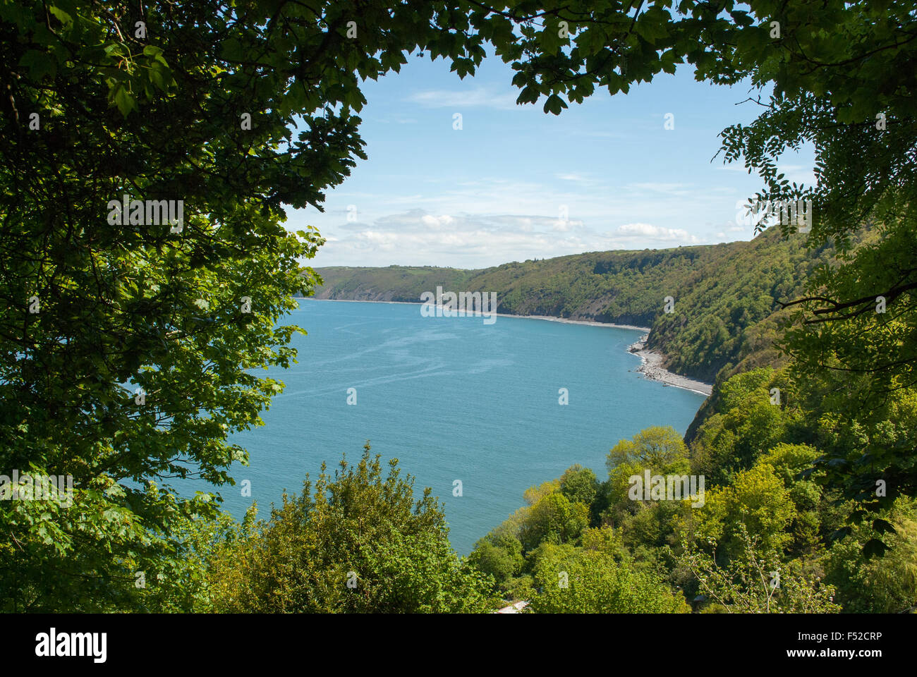 Elevated view through trees hi-res stock photography and images - Alamy