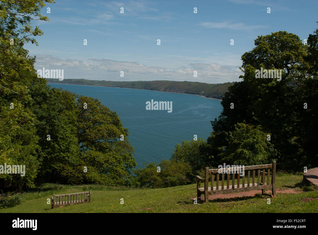 Elevated view through trees hi-res stock photography and images - Alamy