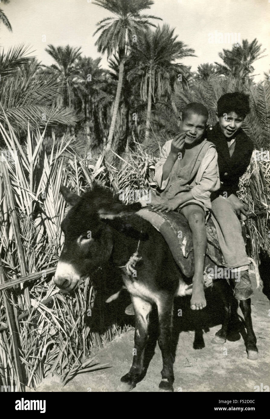 Two children on a donkey , Tunisia Stock Photo - Alamy