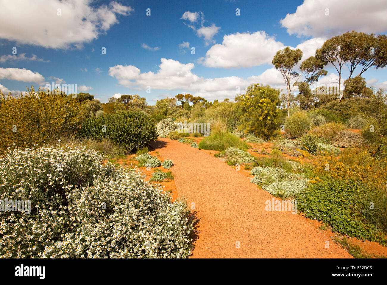 Garden path flowers australia hi-res stock photography and images - Alamy