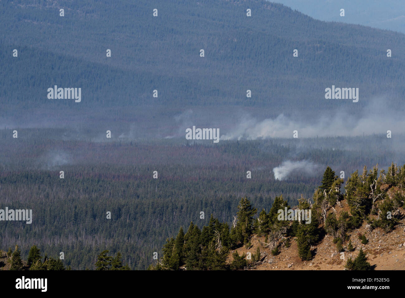 Wildfire containment hi-res stock photography and images - Alamy