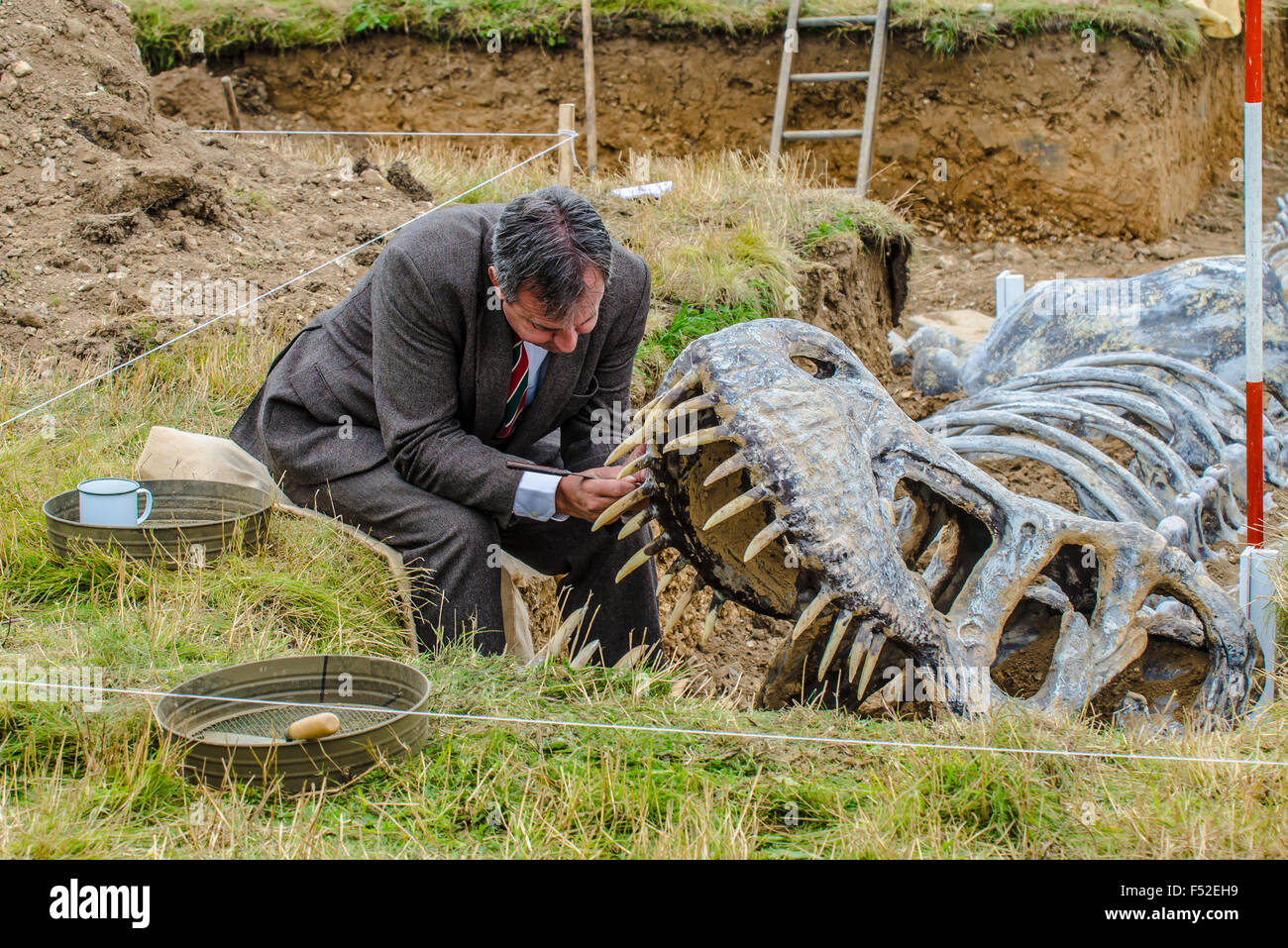 Dinosaur bones fossils hi-res stock photography and images - Alamy