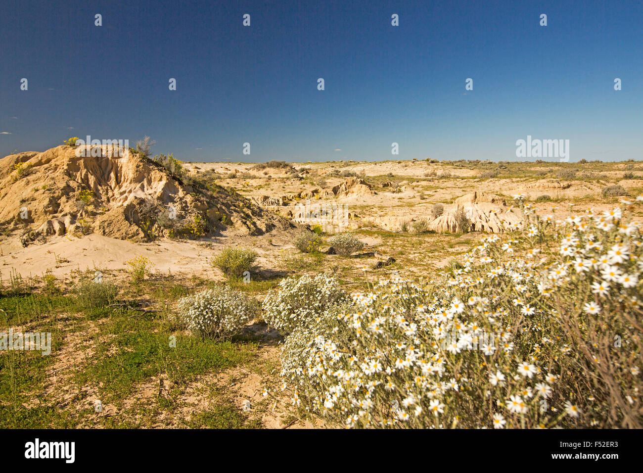 Australian outback landscape with severely eroded soil on Great Wall of ...