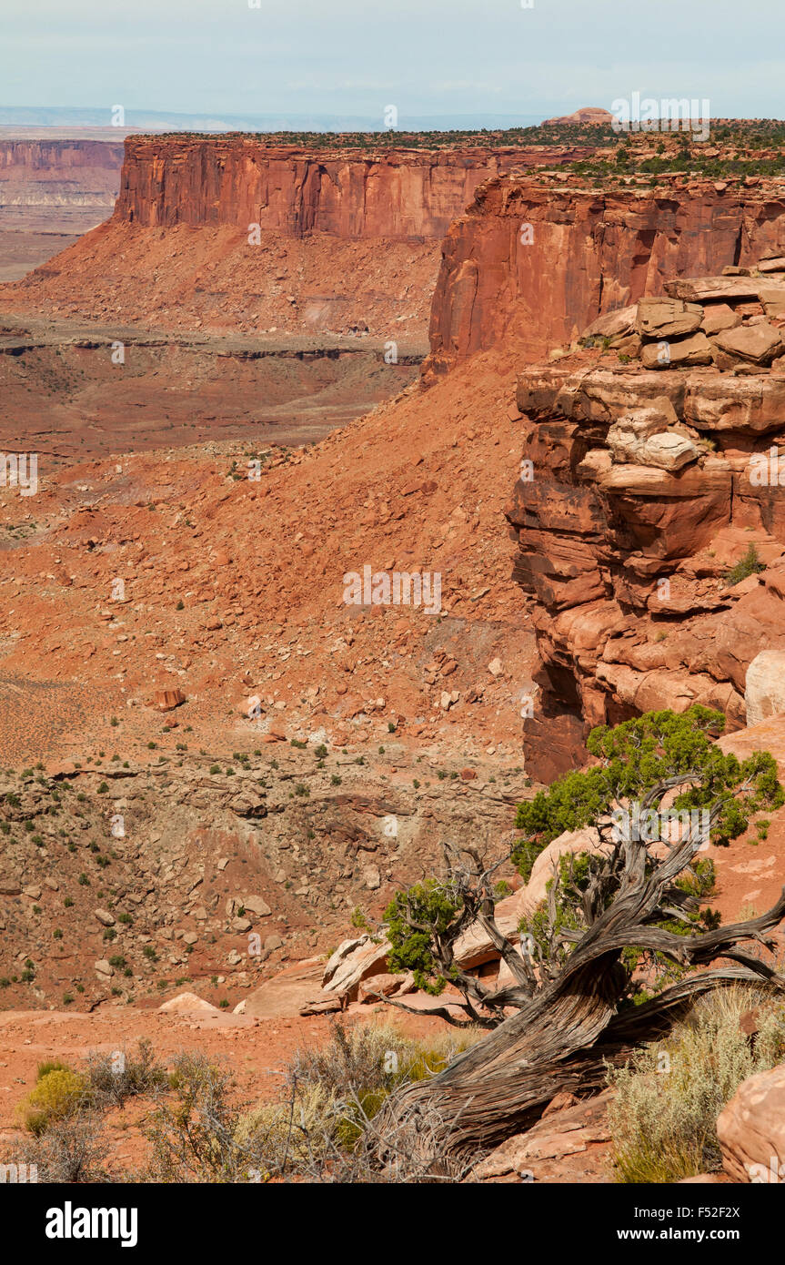 Orange Cliffs Overlook, Canyonlands NP, Utah, USA Stock Photo - Alamy