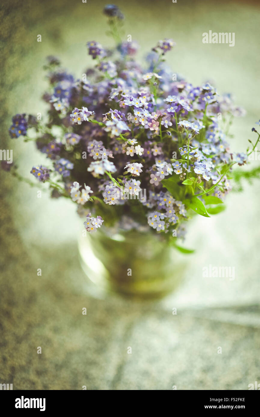 Forget-me-not in vase Stock Photo - Alamy