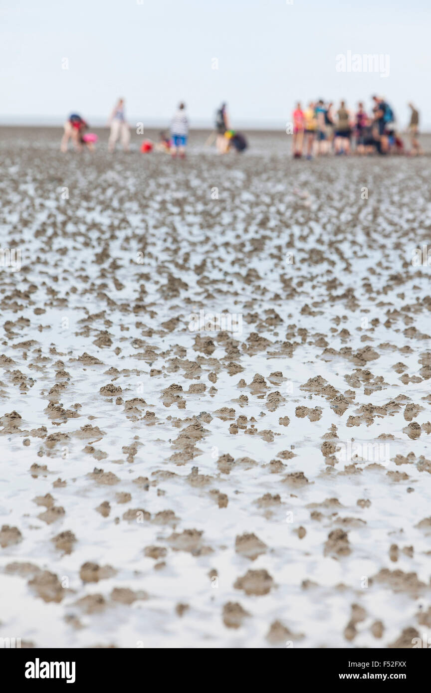 Sludge Worm High Resolution Stock Photography and Images - Alamy