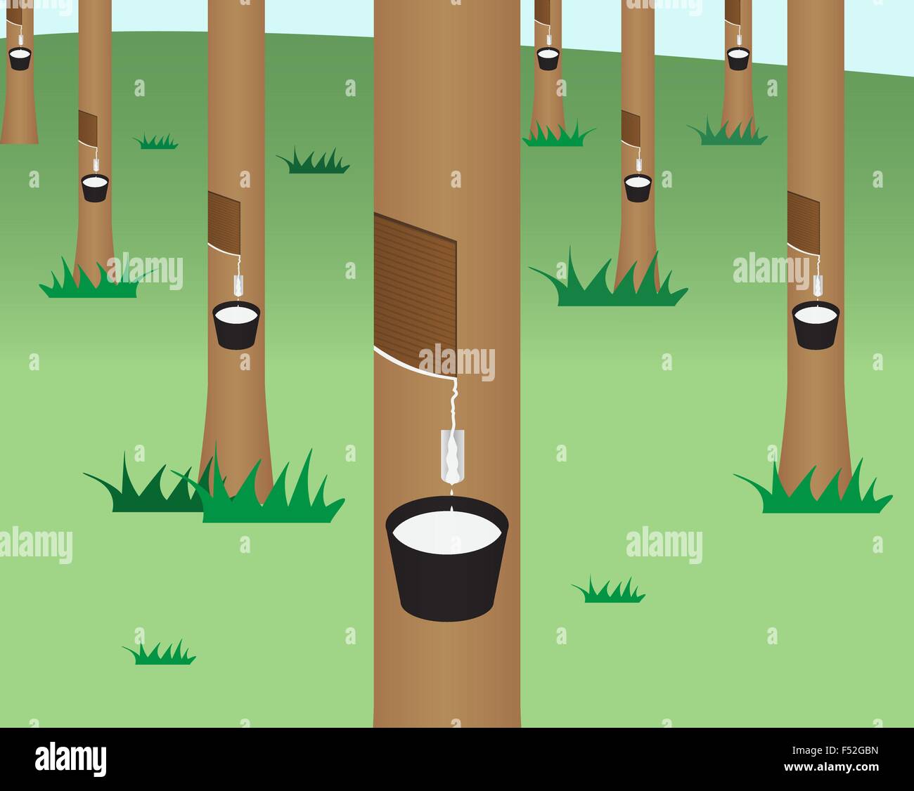 rubber tree jungle in flat style, isolated vector object Stock Vector ...