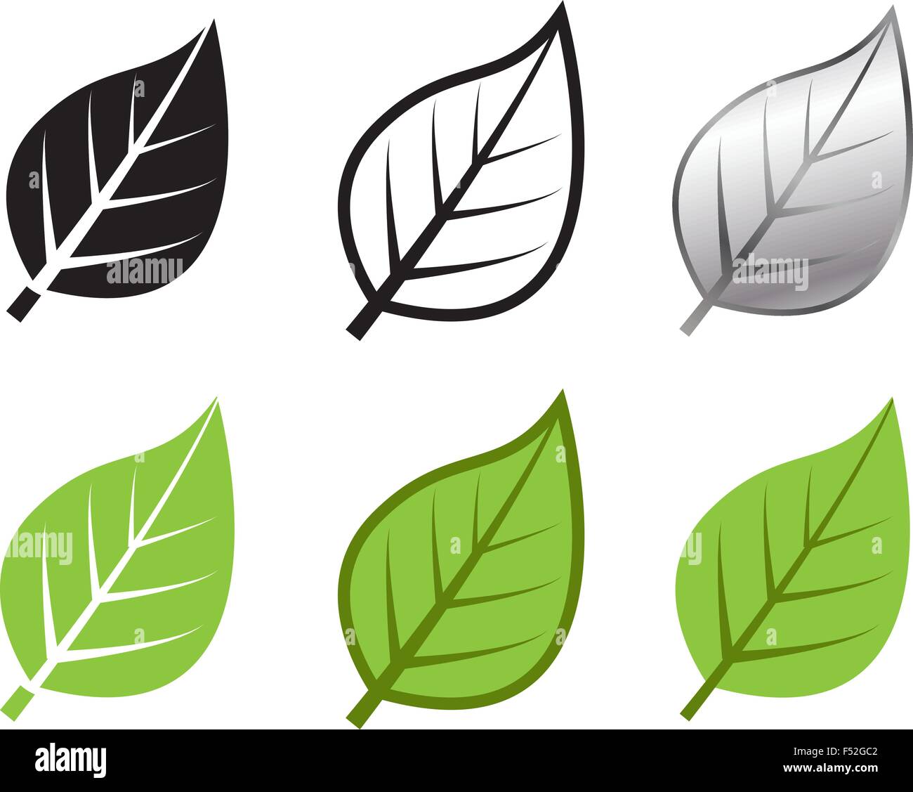 Herb vector vectors hi-res stock photography and images - Alamy