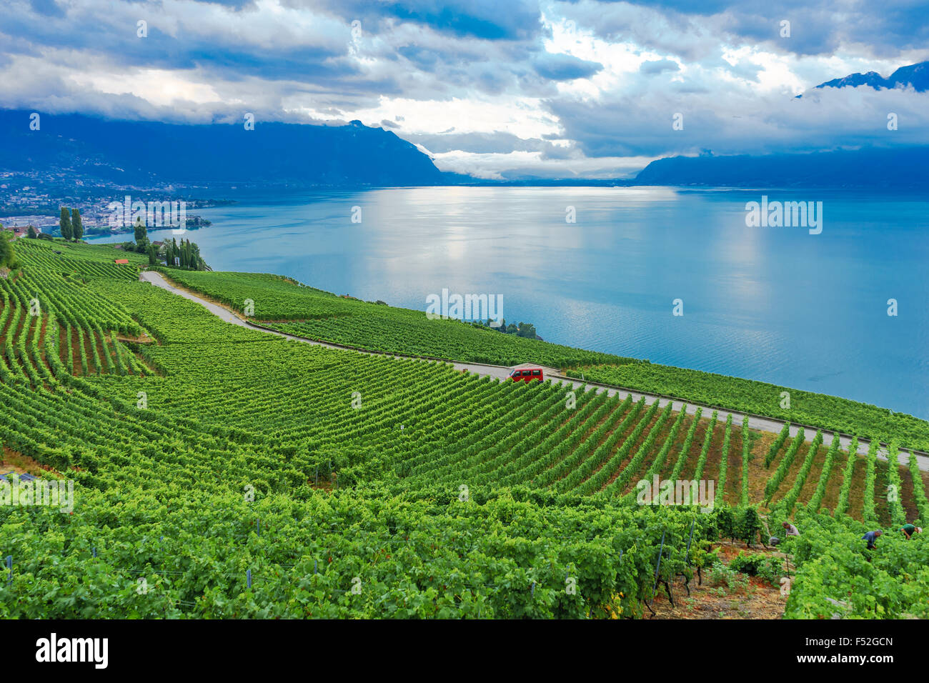 The sprawling vineyards at Lavaux, a UNESCO World Heritage Site. Lake ...