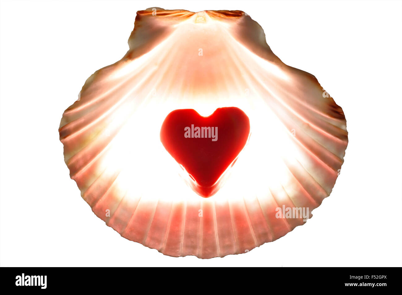 Scallop shape hi-res stock photography and images - Alamy