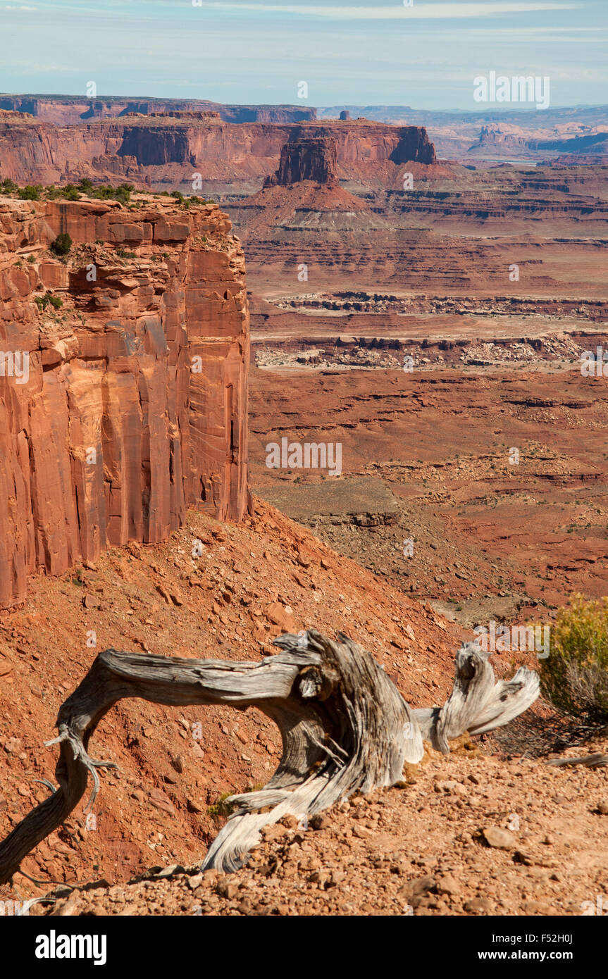 Orange Cliffs Overlook, Canyonlands NP, Utah, USA Stock Photo - Alamy