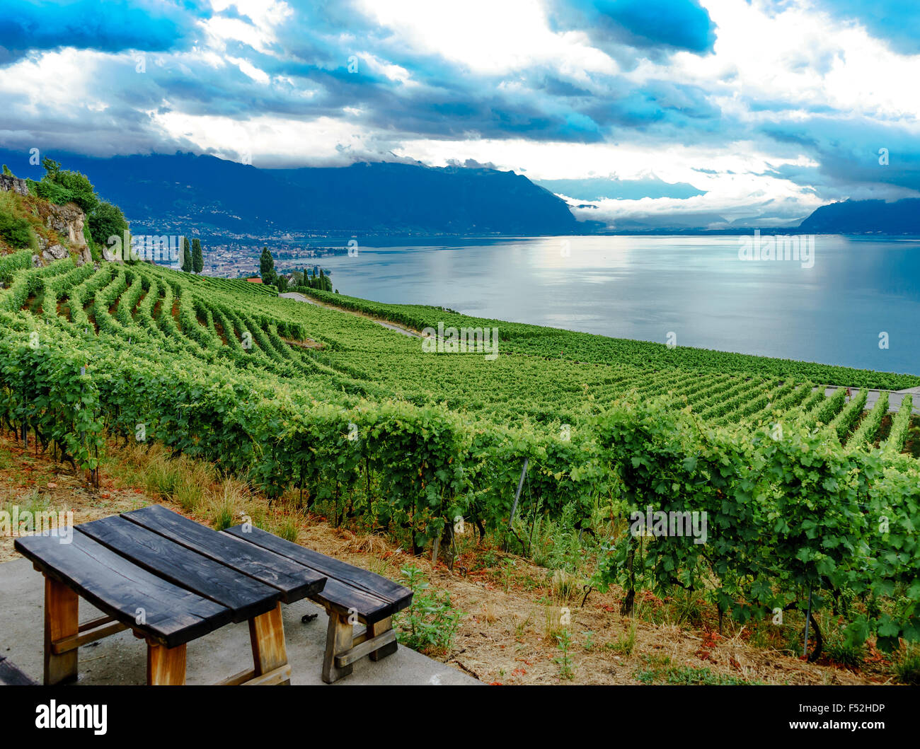 View of the vineyards at Lavaux, a UNESCO World Heritage Site. Lake ...