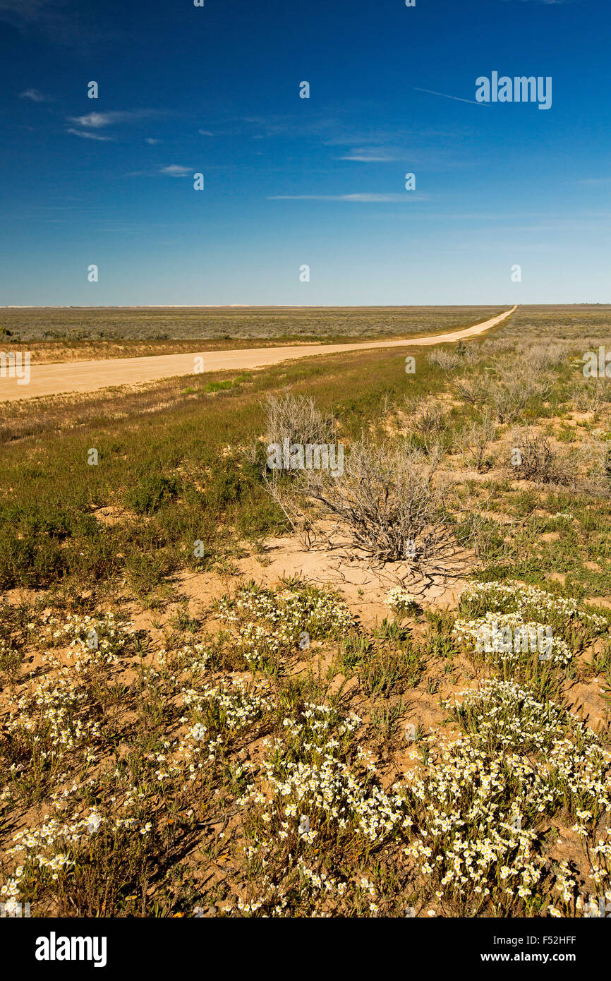 Australian outback road across treeless plains of vast dry Lake Leaghur ...