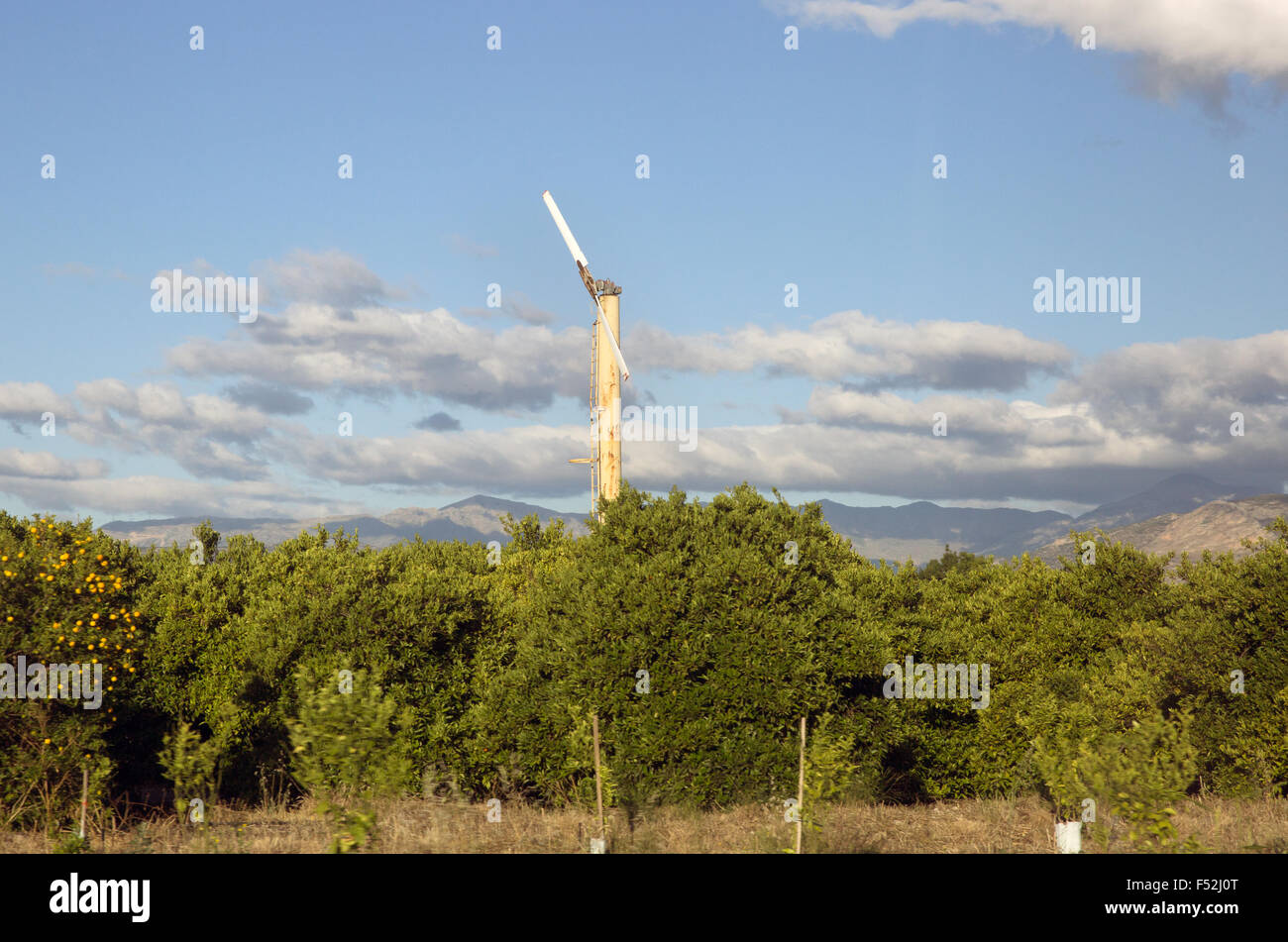 Citrus grove frost hi-res stock photography and images - Alamy