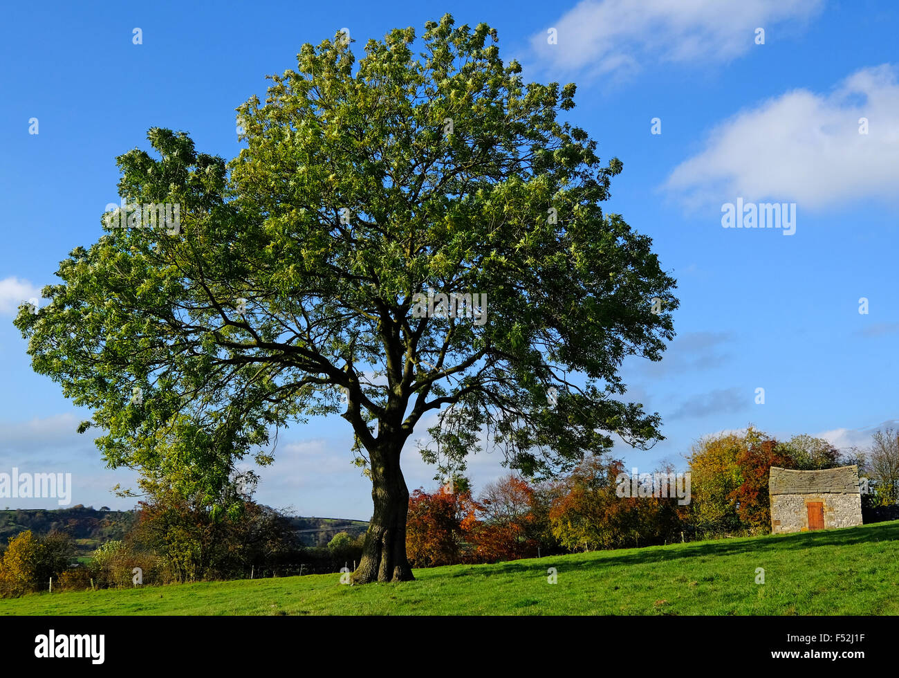 Hartington derbyshire hi-res stock photography and images - Alamy