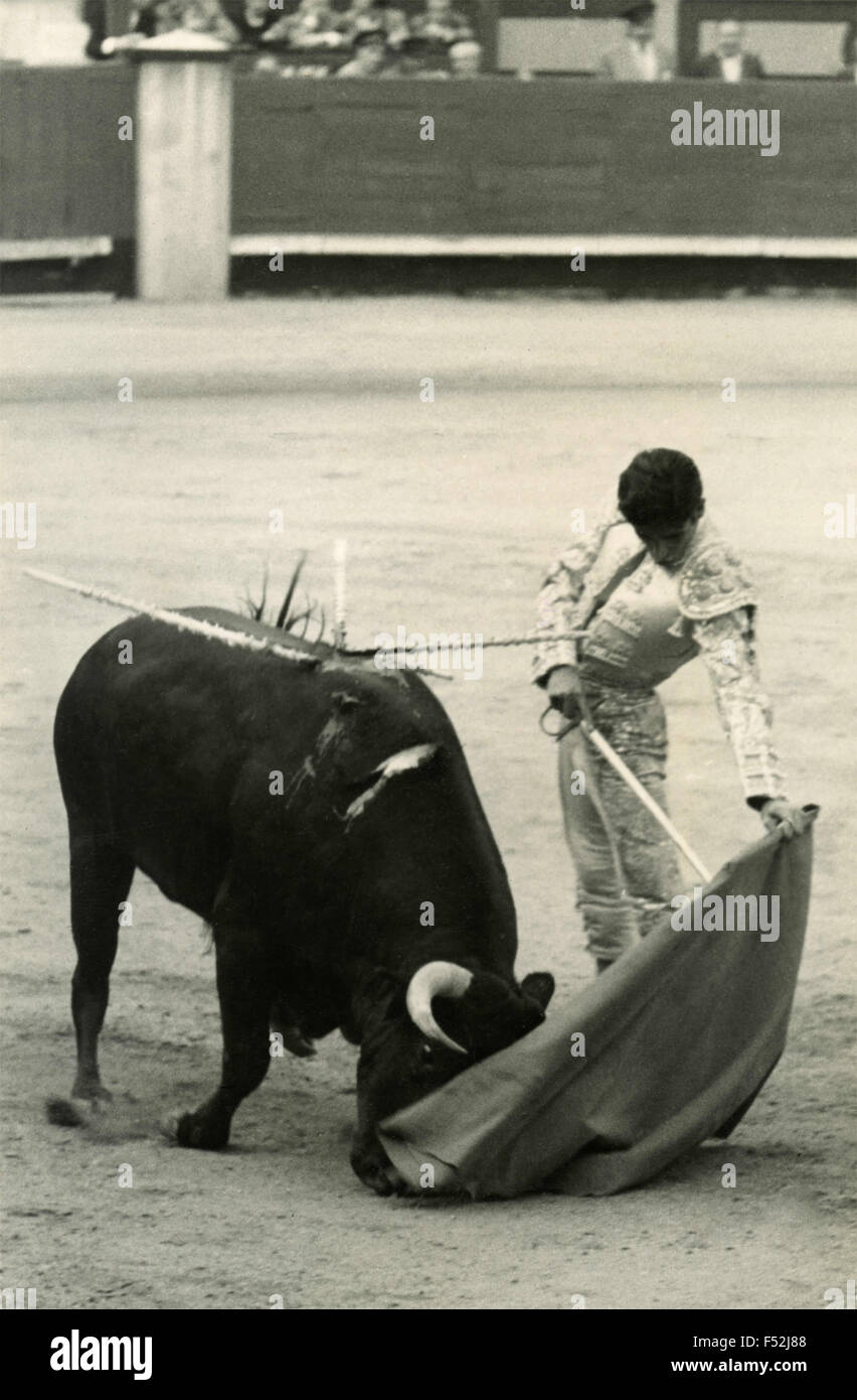 The bullfighter challenge the bull during the bullfight , Madrid, Spain ...