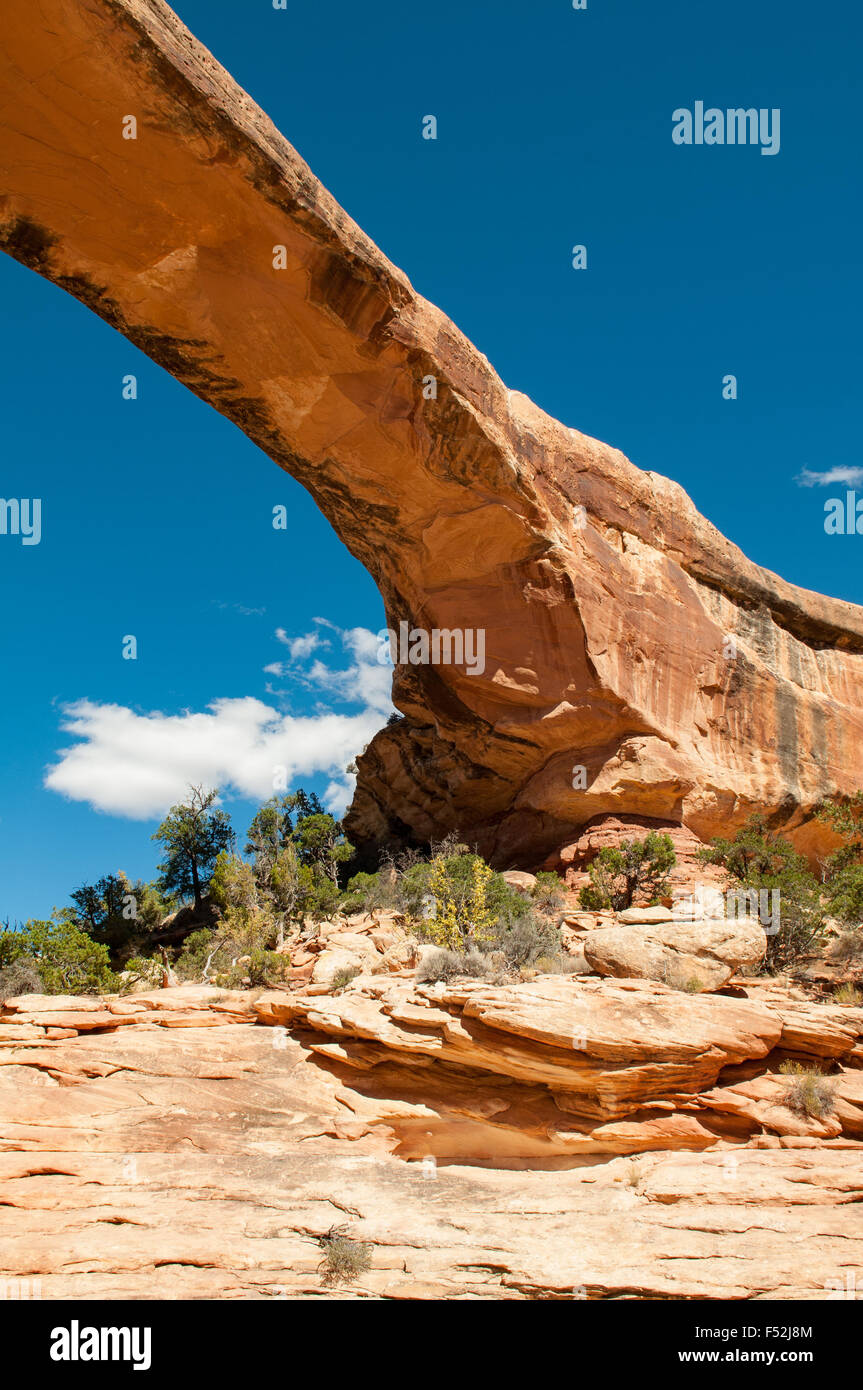 Owachomo Bridge, Natural Bridges National Monument, Utah, USA Stock ...