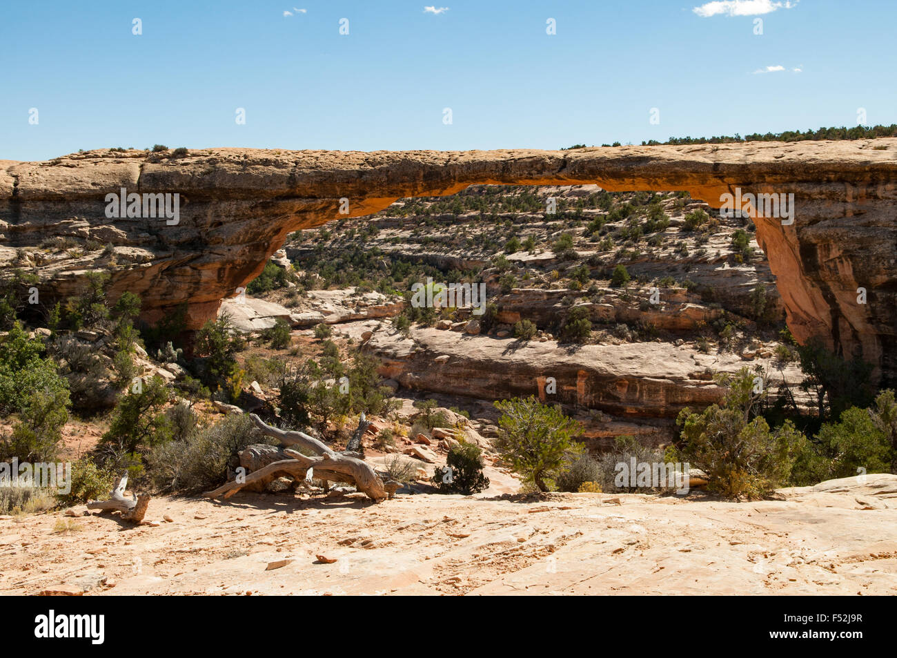 Owachomo Bridge, Natural Bridges National Monument, Utah, USA Stock ...