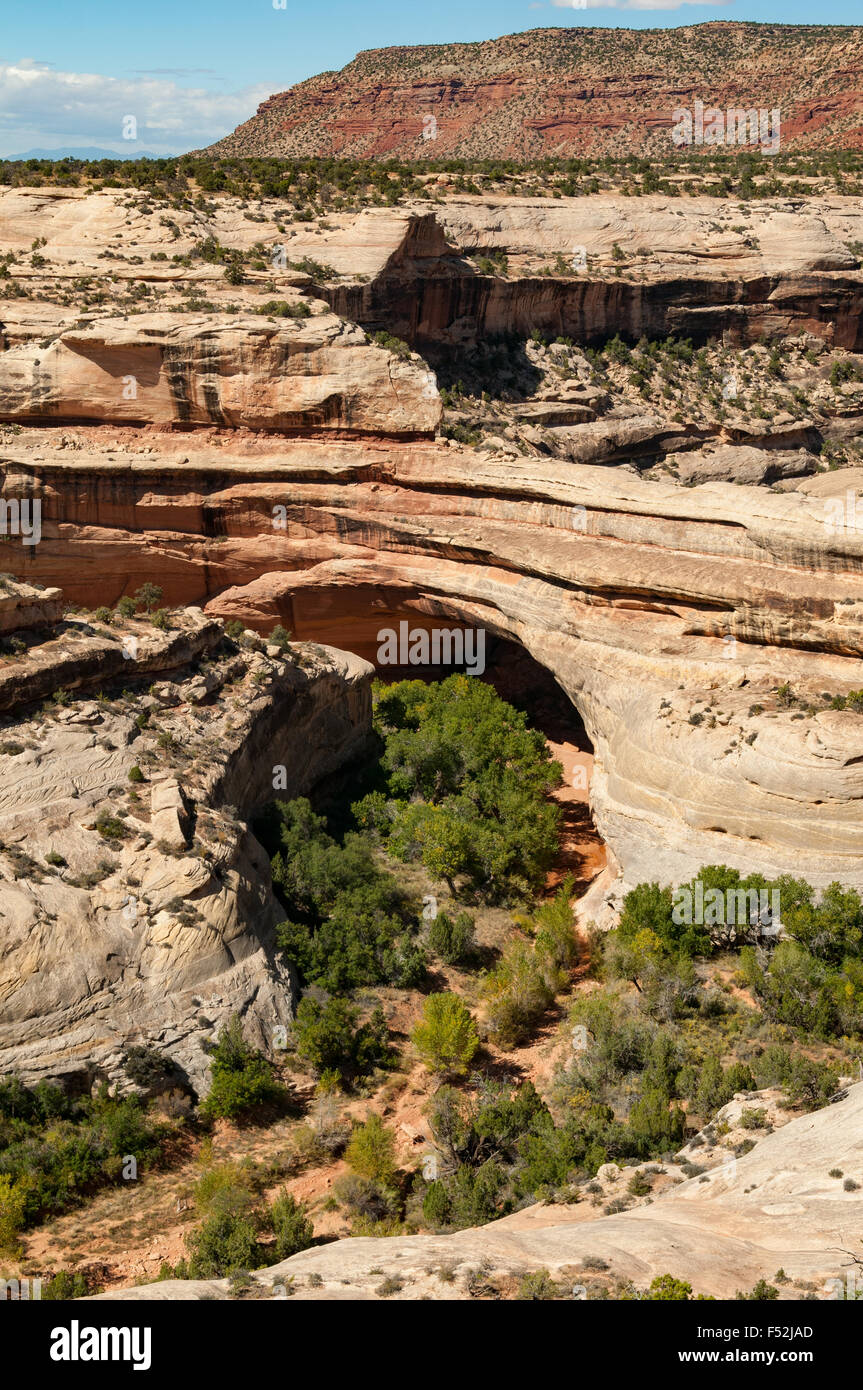 Kachina Bridge, Natural Bridges National Monument, Utah, USA Stock ...