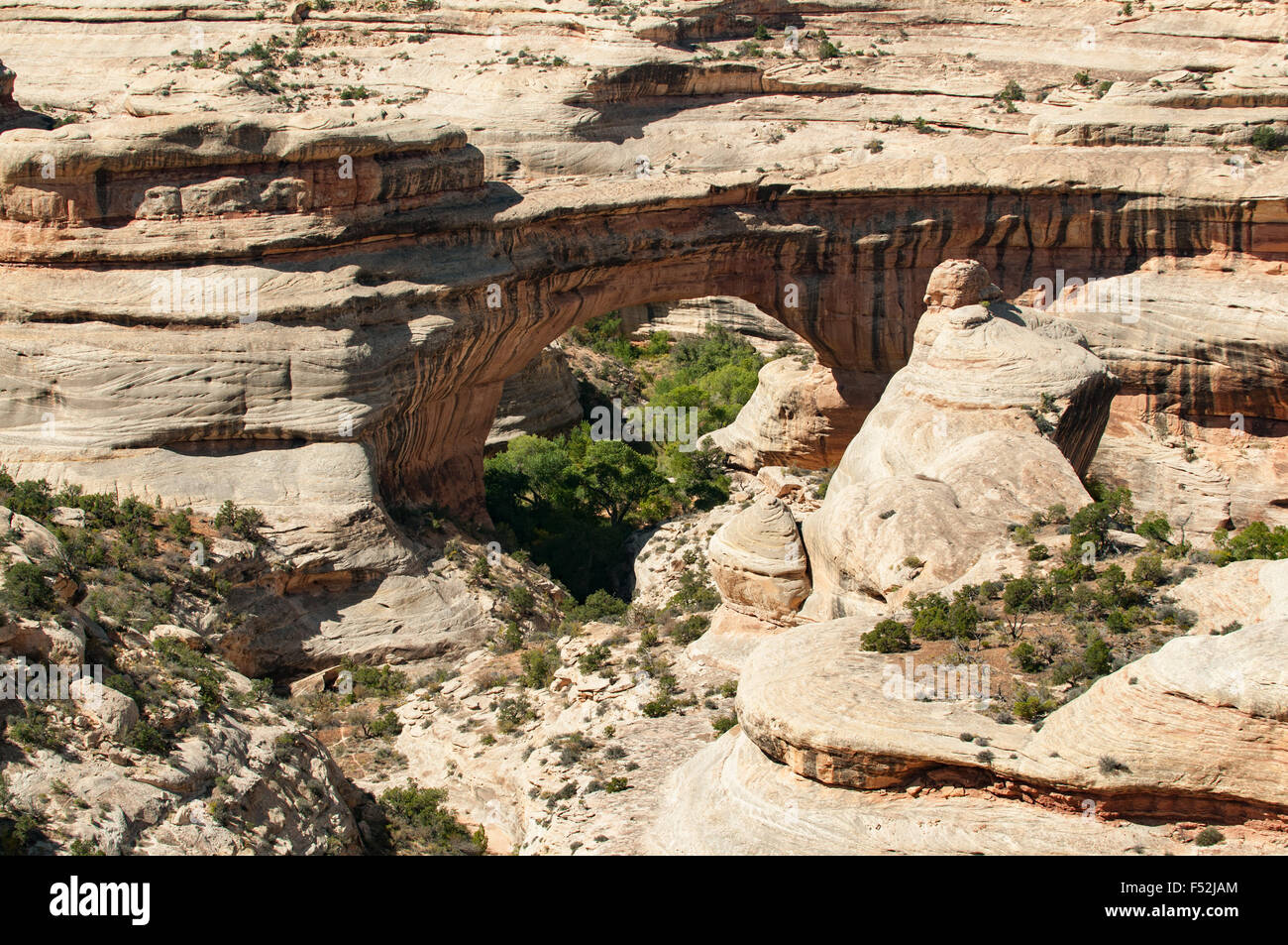 Sipapu Bridge, Natural Bridges National Monument, Utah, USA Stock Photo ...