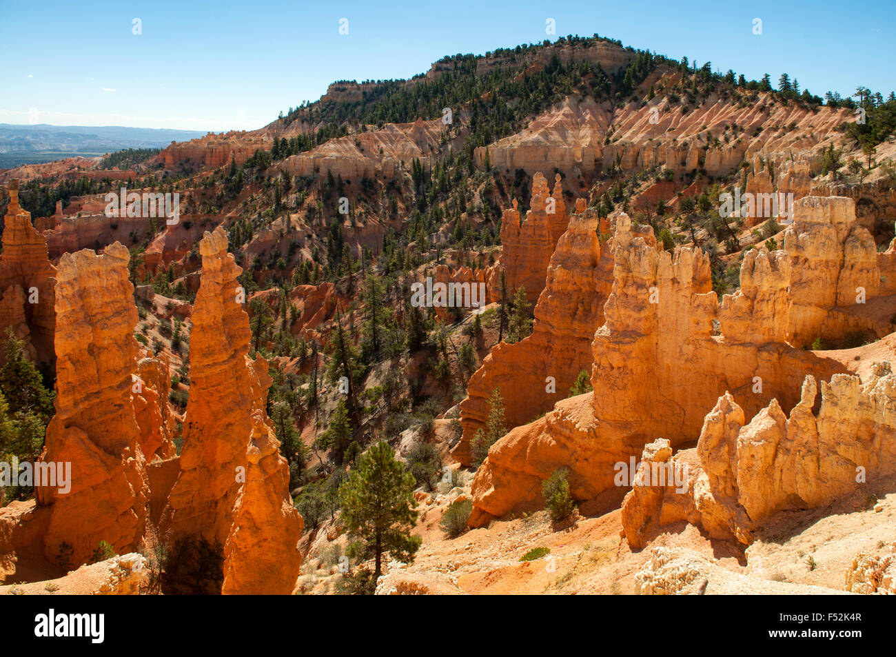 Fairyland hi-res stock photography and images - Alamy