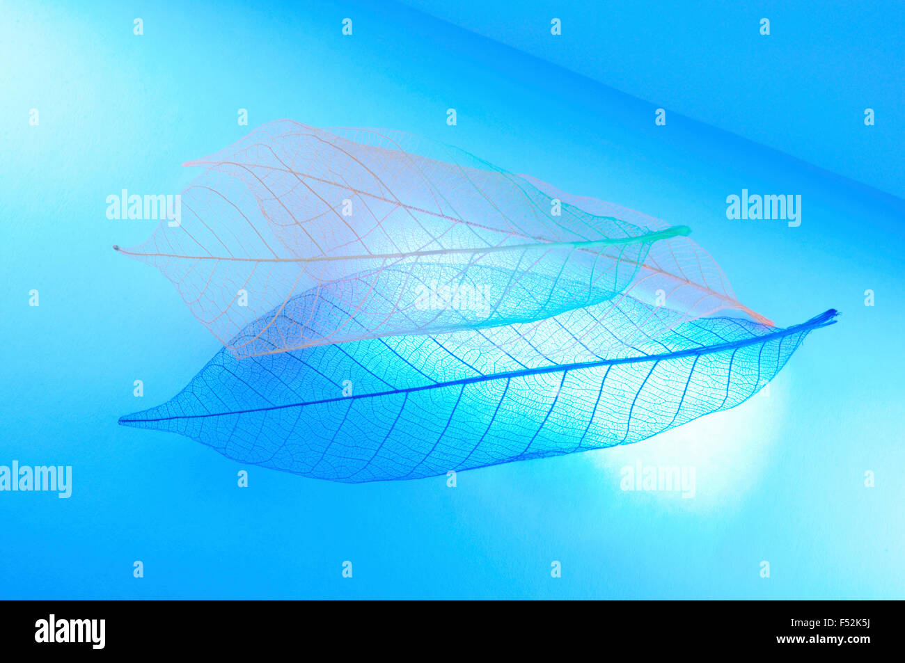 Grain idea hi-res stock photography and images - Alamy